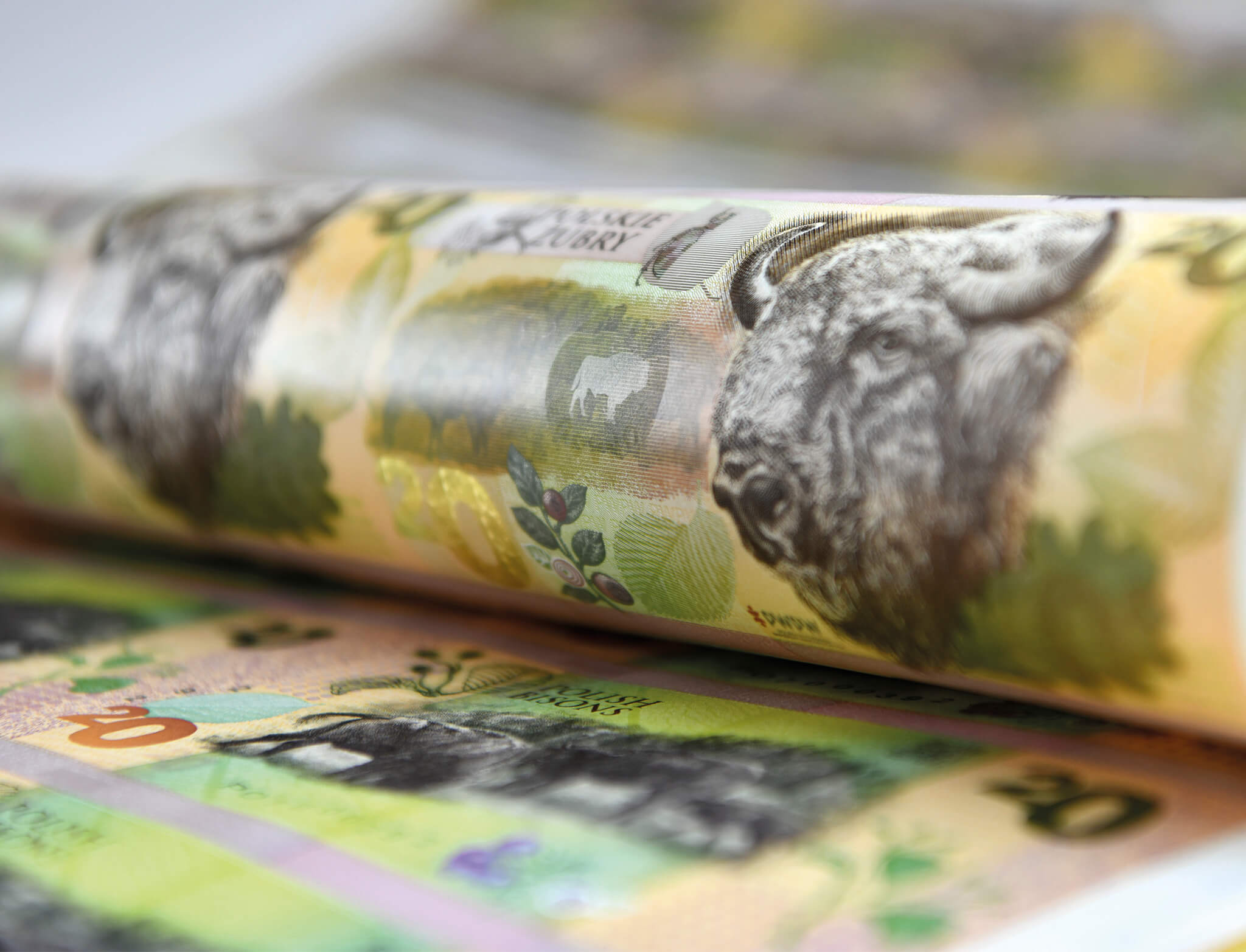 Banknote substrates PWPW PL