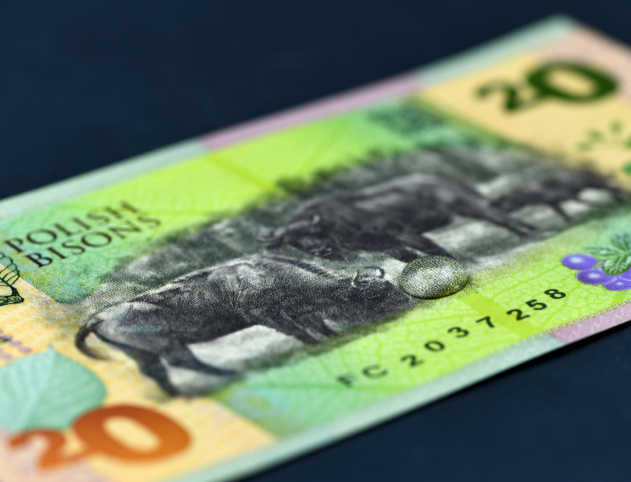 Banknote substrates PWPW PL
